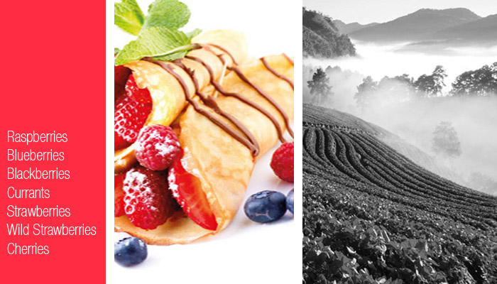 Pureberry Fruits Rouges - pureberry.fr